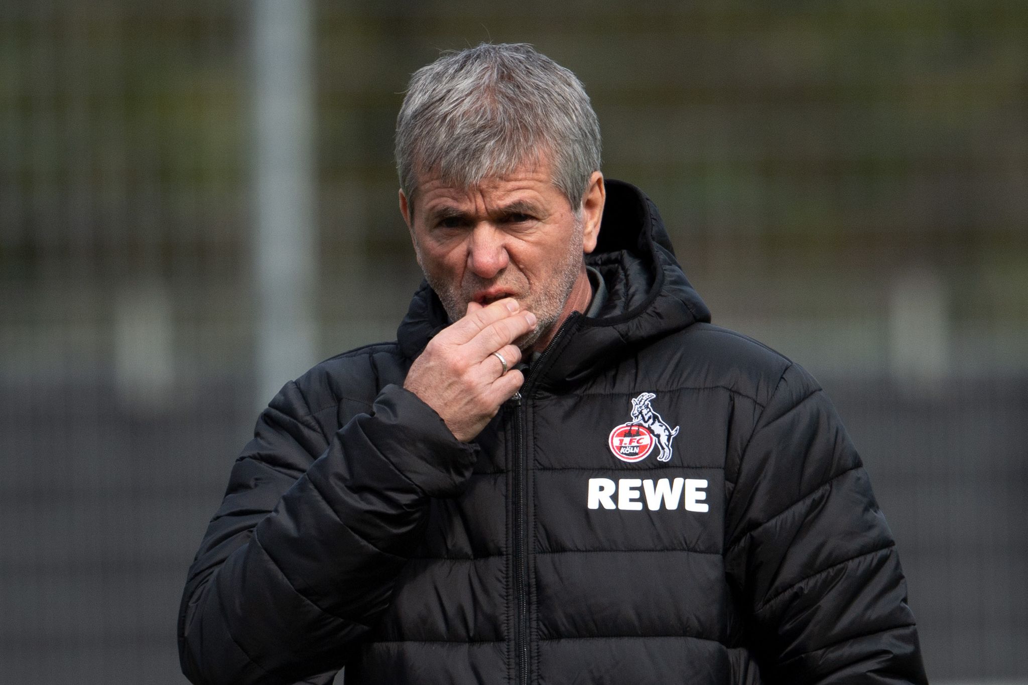 Berichte: Funkel soll Interimstrainer beim 1. FC Köln werden ...