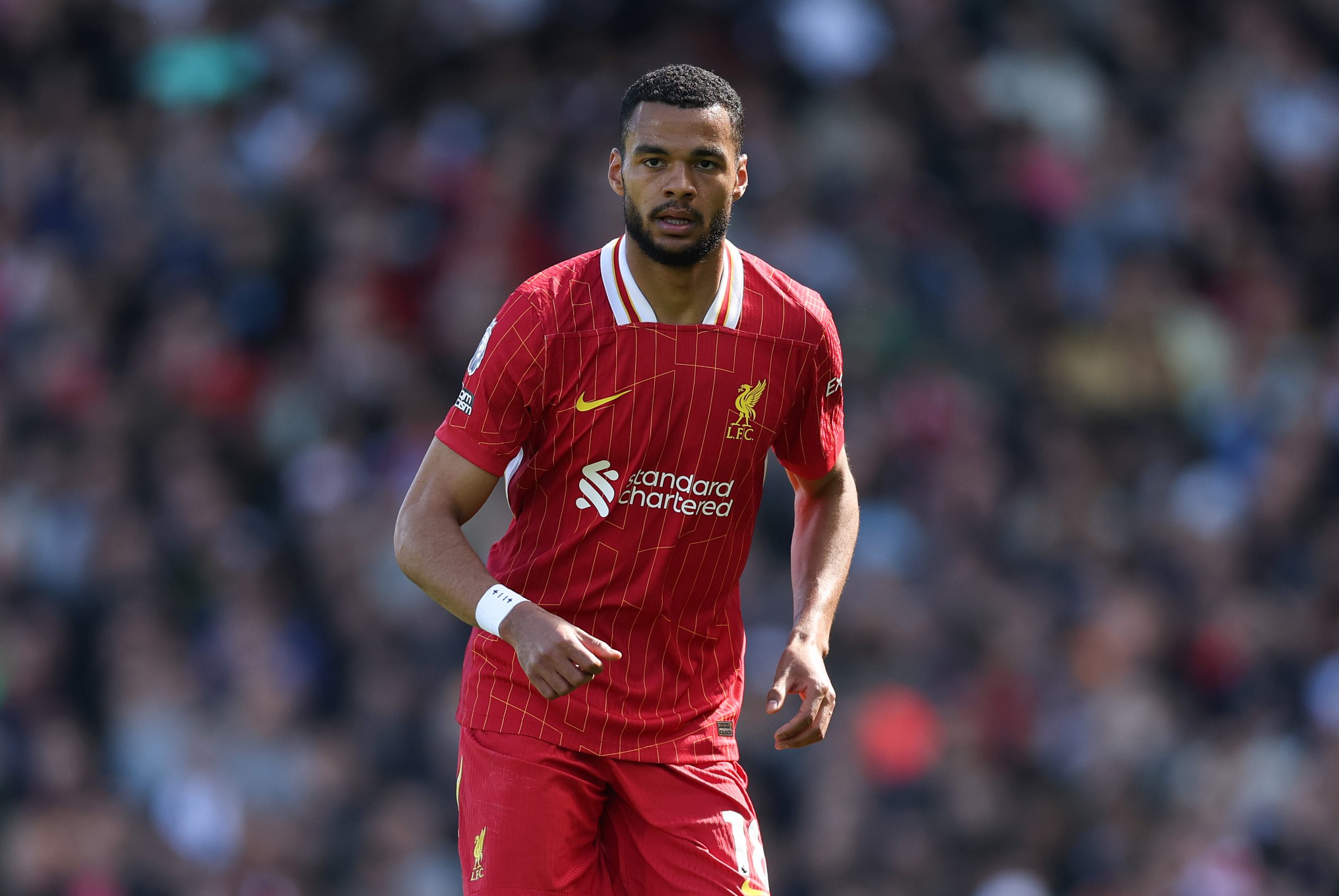 Nach Wirtz-Absage: Bayern mit Interesse an Cody Gakpo - Fussballdaten